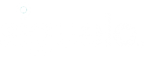 Siguelo |Control de Rutas